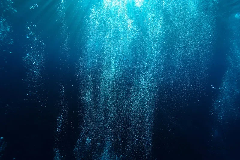 Exploration des Abysses : Secrets et Menaces des Profondeurs